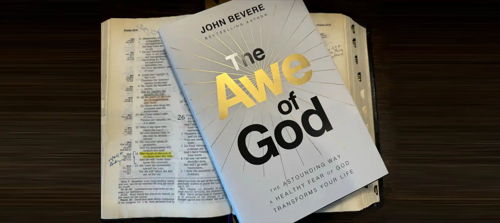 The Fear of the Lord Even Fries Fringes of Depression - IPA